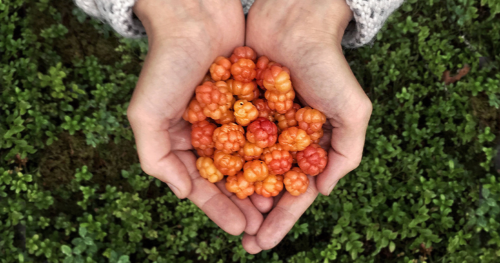 Responsible discovery: Finland - Visit Europe