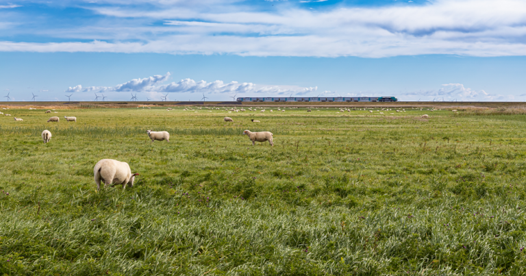 Germany’s scenic train routes - Visit Europe