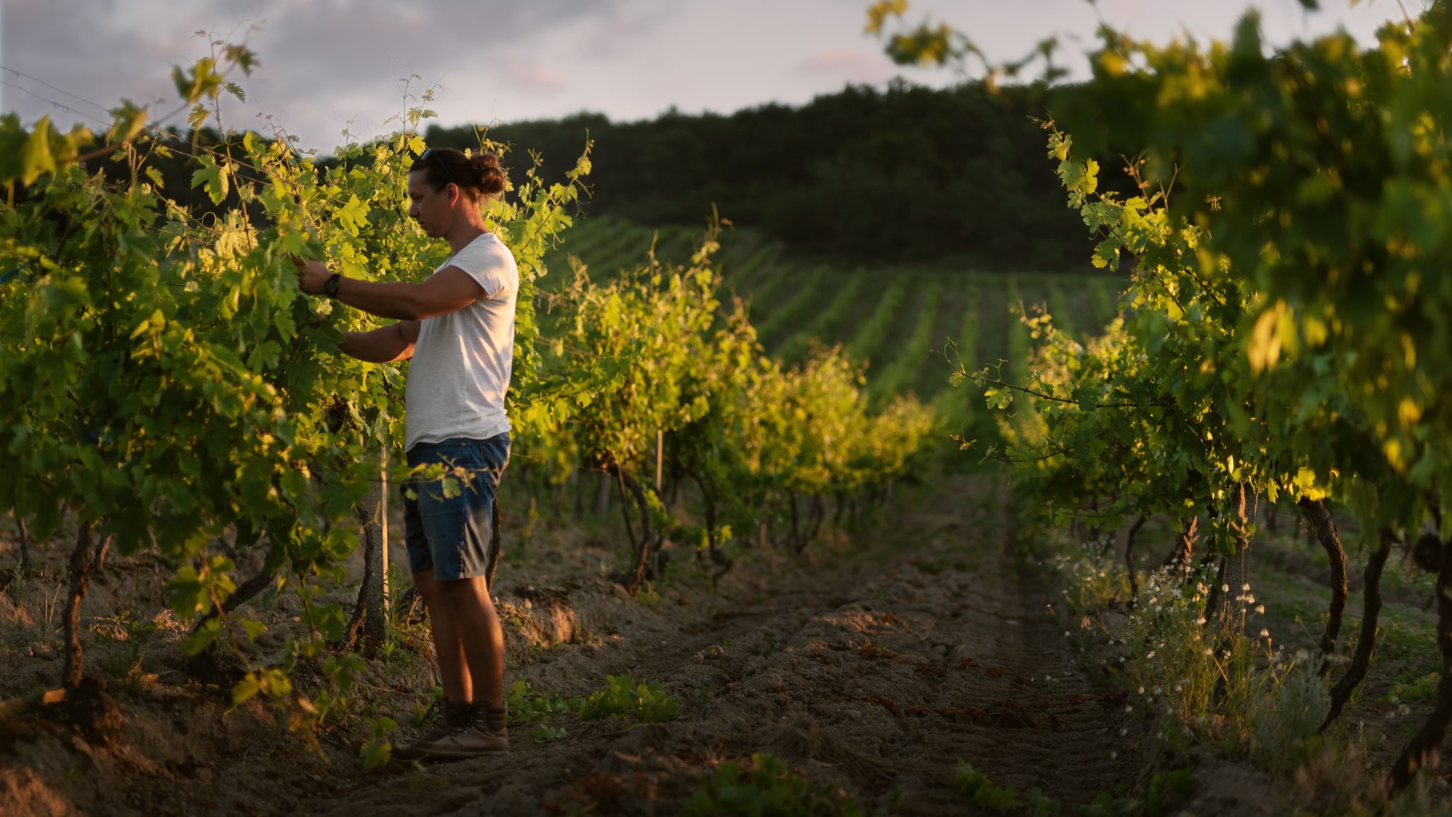 Slovakia’s love affair with clay - Visit Europe