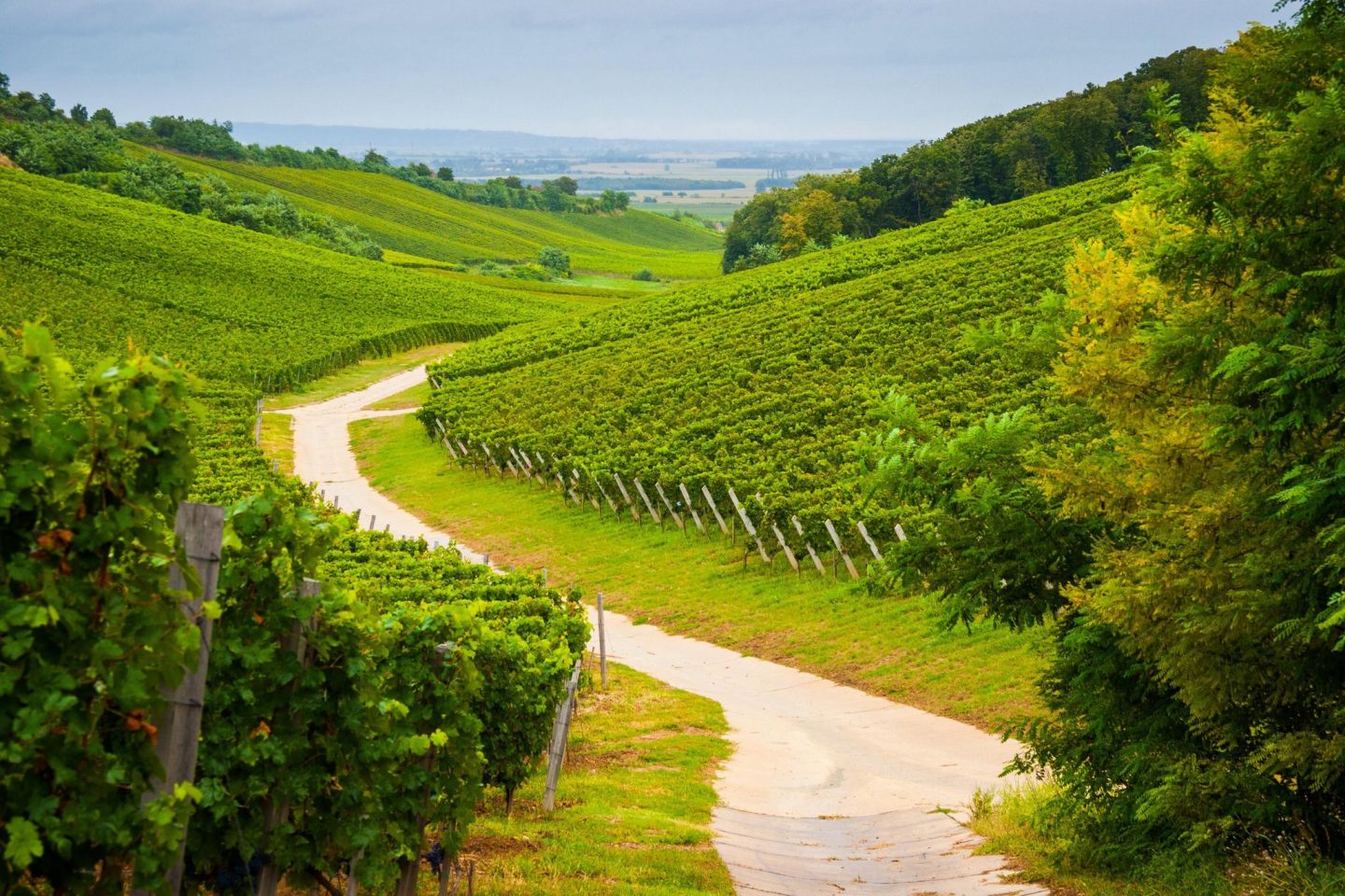 Exploring the Rural Wonders of Europe - Visit Europe